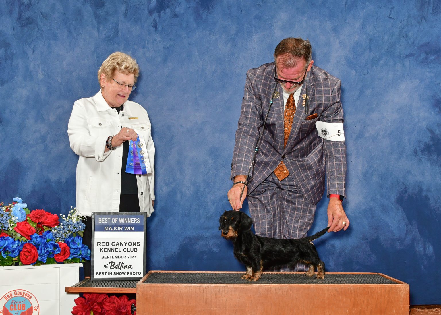 CH NUFOREST ROGGENBROT MW – Nuforest Dachshunds
